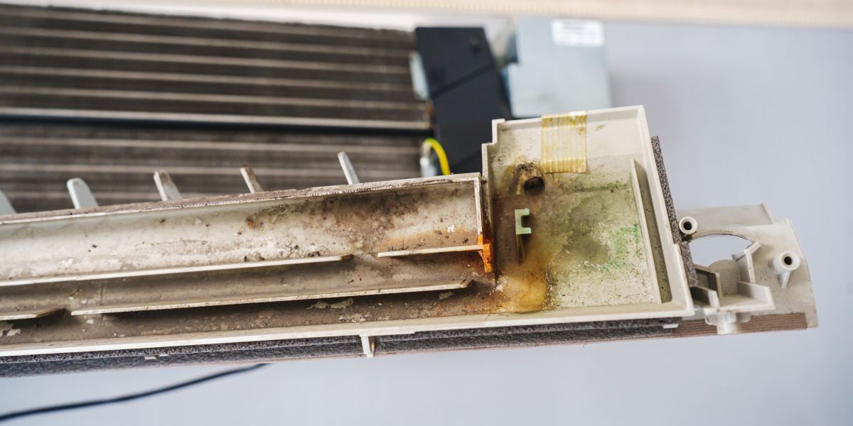 Signs of Mold in Your HVAC System | Better Air Northwest