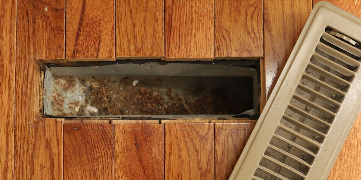 Signs of Rodent or Pest Intrusion in Air Ducts | Better Air Northwest